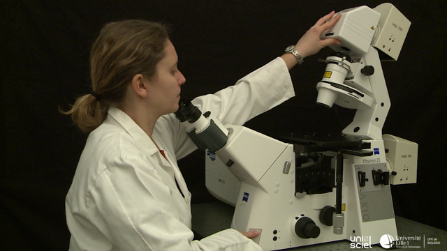 Lille.Pod - Biologie Cellulaire - La microscopie appliquée à la ...